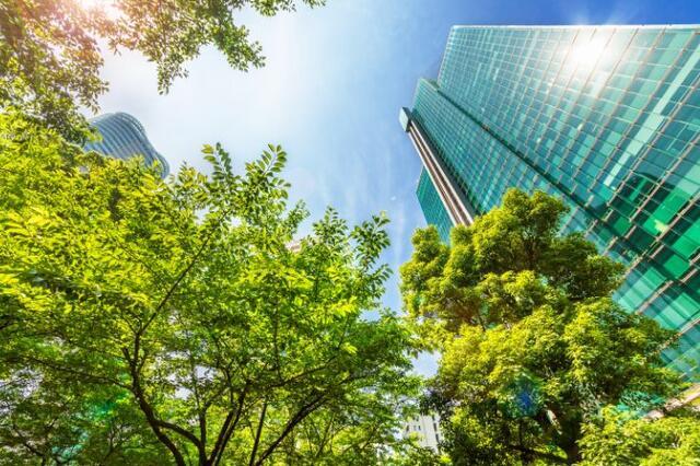 Managing Agents Sustainability Toolkit | Managing Agents Partnership Managing Agents Sustainability Toolkit | Managing Agents Partnership